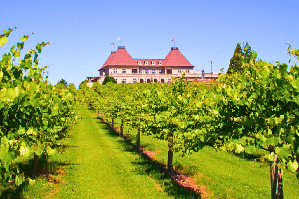 A Southern Symphony of Elegance Awaits in Braselton | Go With ...